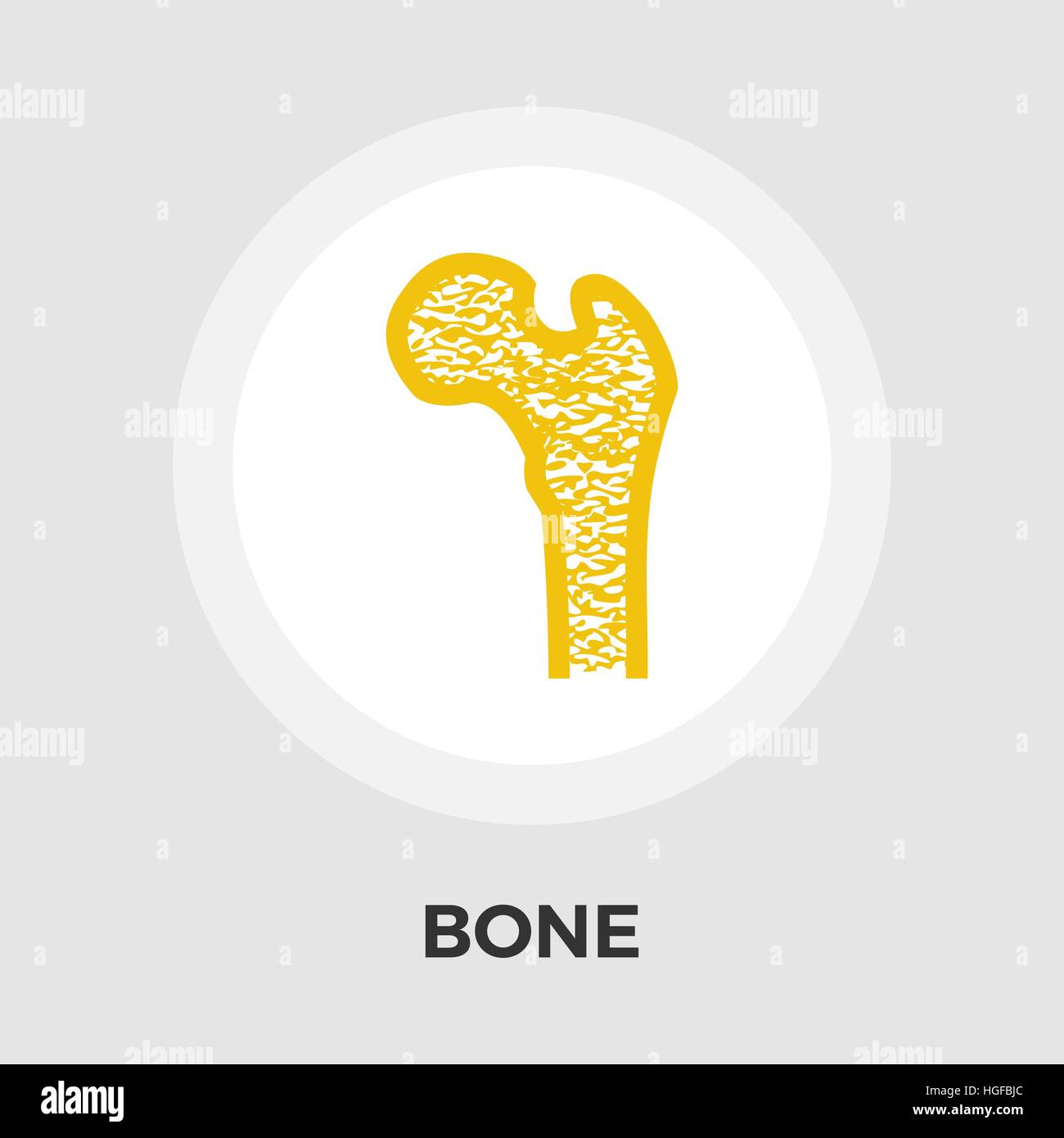 Knochen-Symbol Vektor. Flach-Symbol auf dem weißen Hintergrund isoliert ...