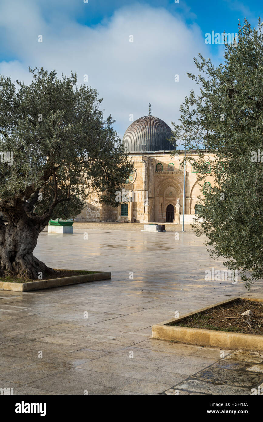 Al-Aqsa-Moschee auf dem Tempelberg, Jerusalem, Israel, Asien ...