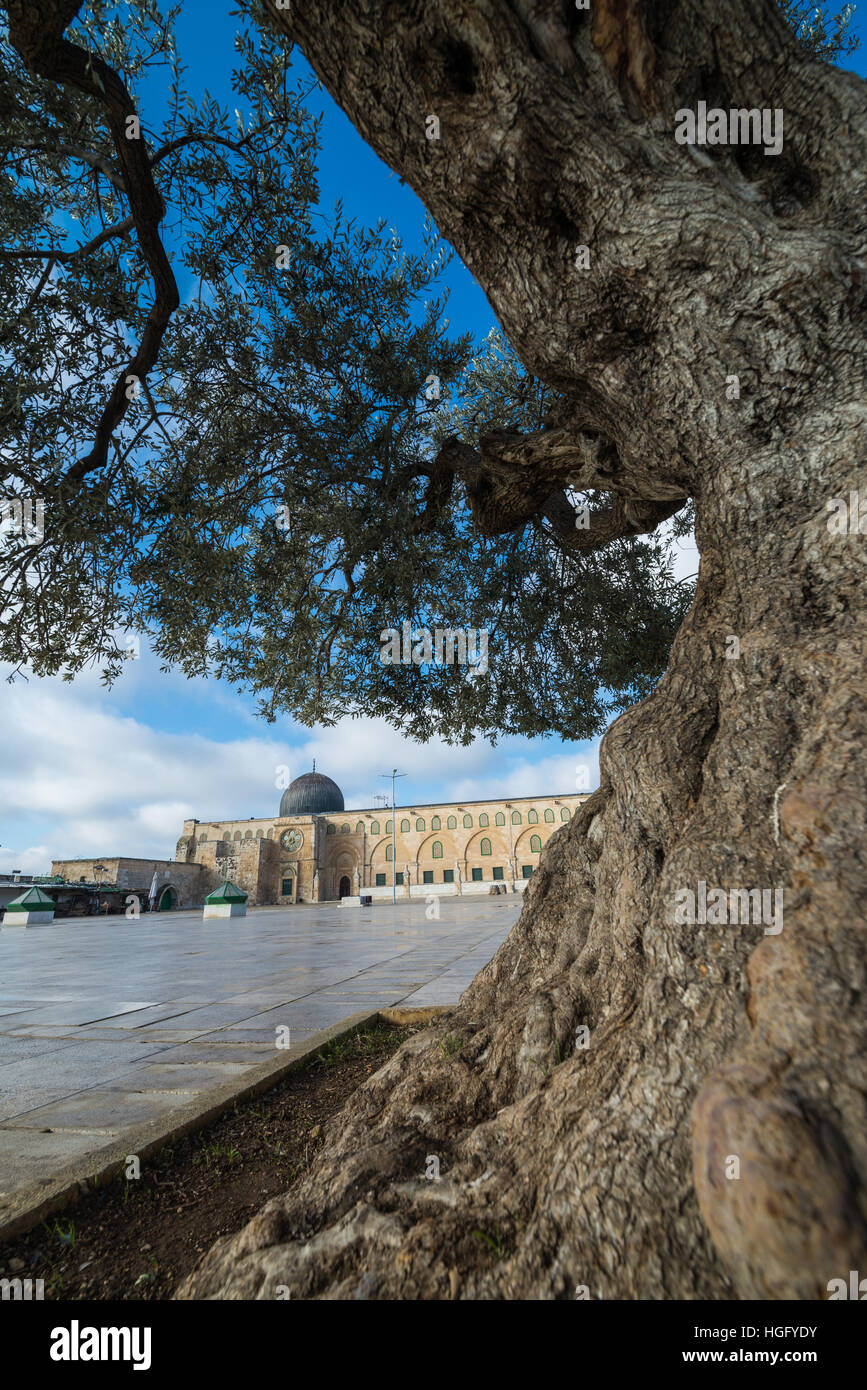 Al-Aqsa-Moschee auf dem Tempelberg, Jerusalem, Israel, Asien ...