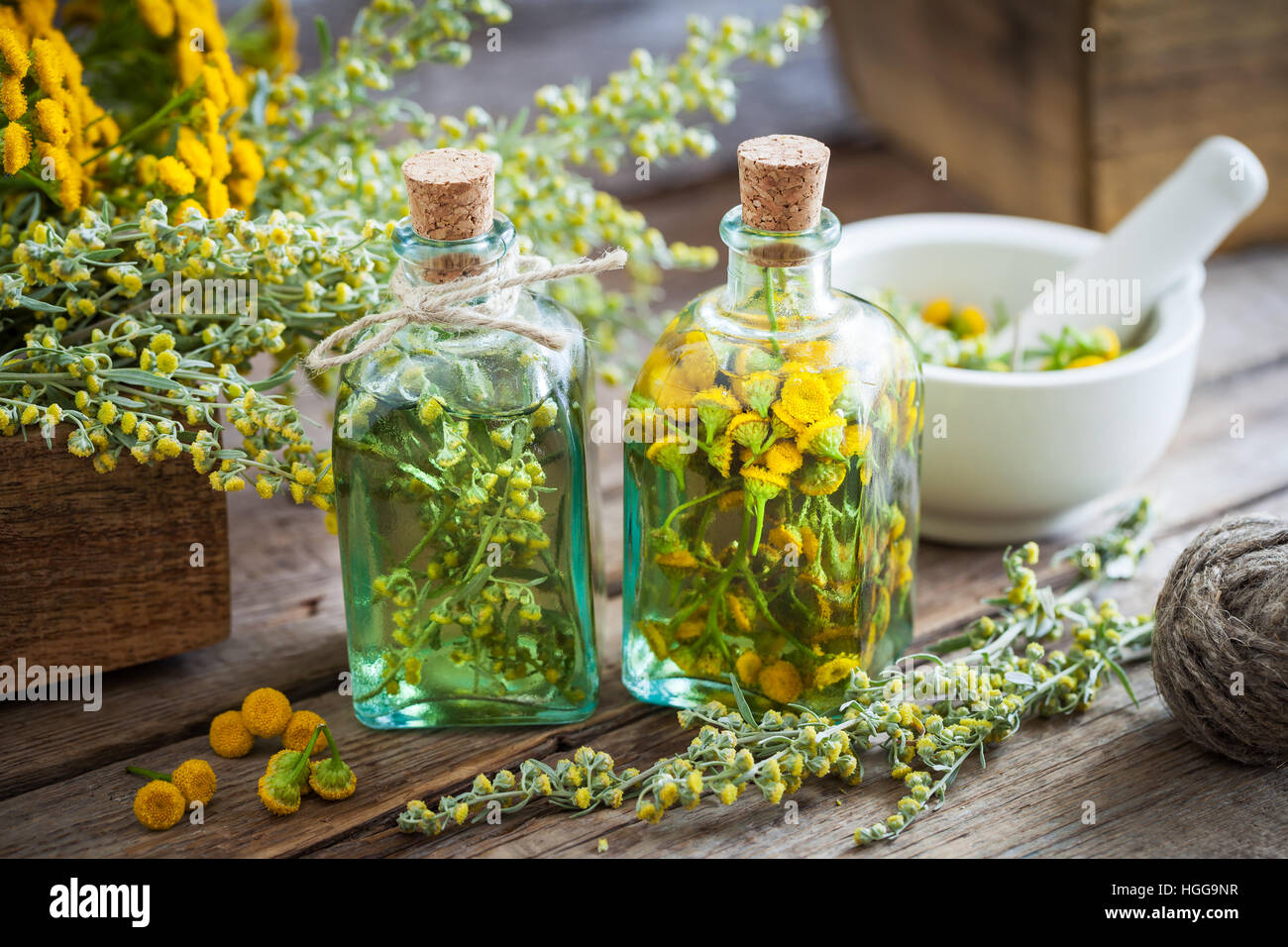 Tinktur Flaschen Rainfarn und Estragon gesunde Kräuter, Absinth ...