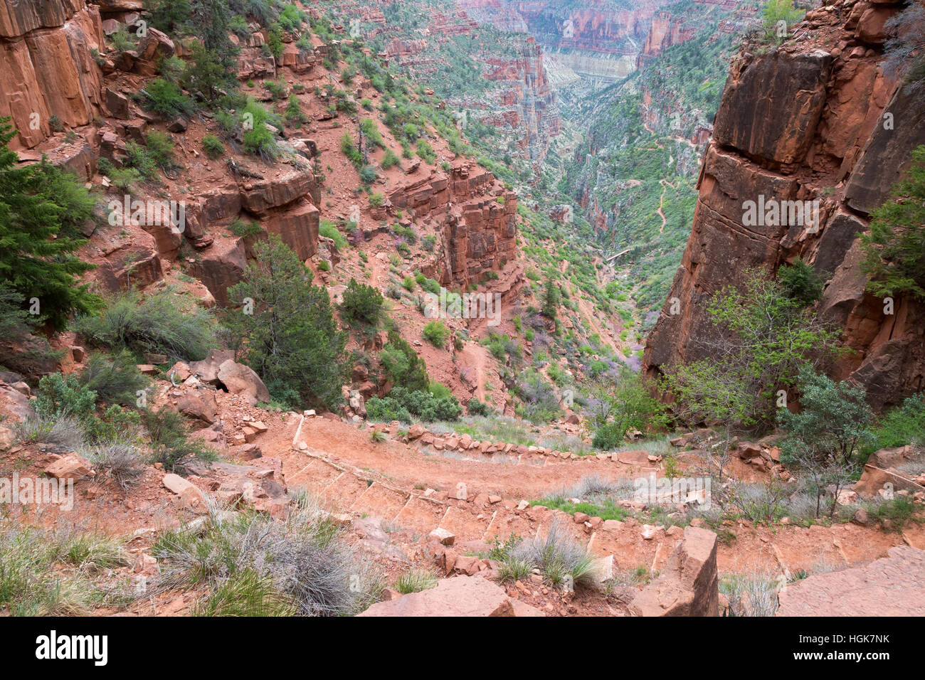 Kaibab Limestone Stockfotos und -bilder Kaufen - Alamy