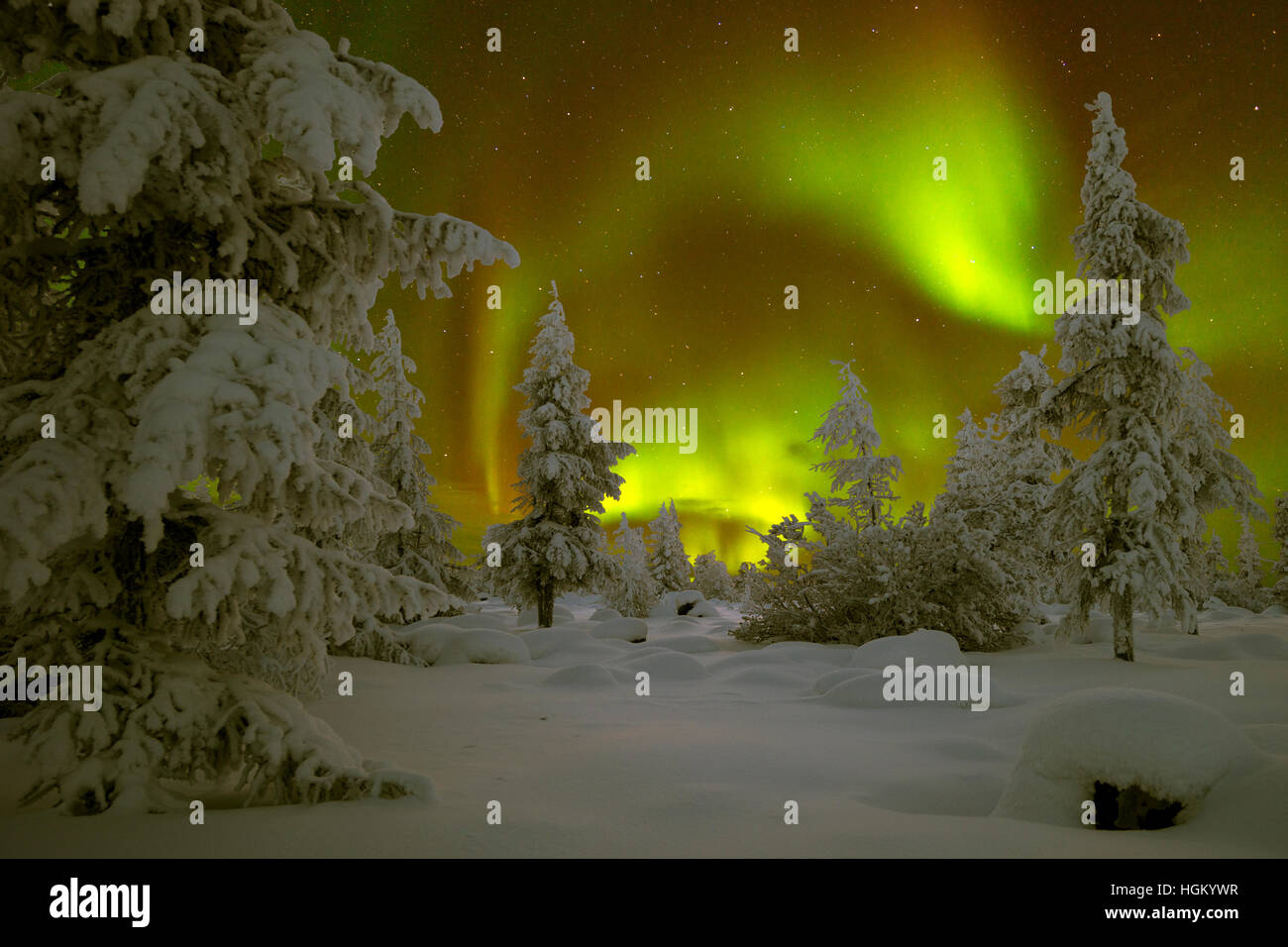 Ariel mond -Fotos und -Bildmaterial in hoher Auflösung – Alamy