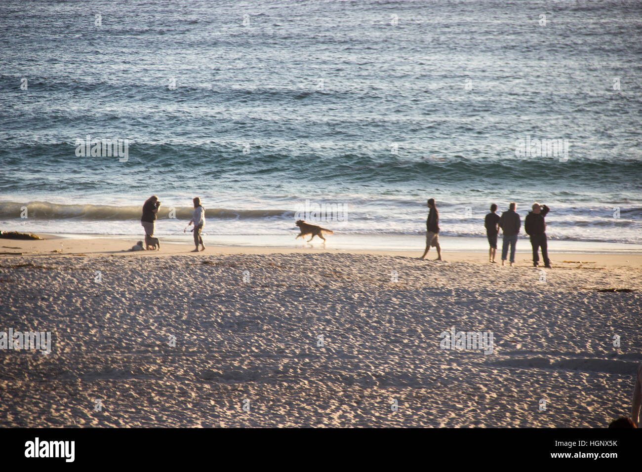 Friedlicher strand -Fotos und -Bildmaterial in hoher Auflösung – Alamy