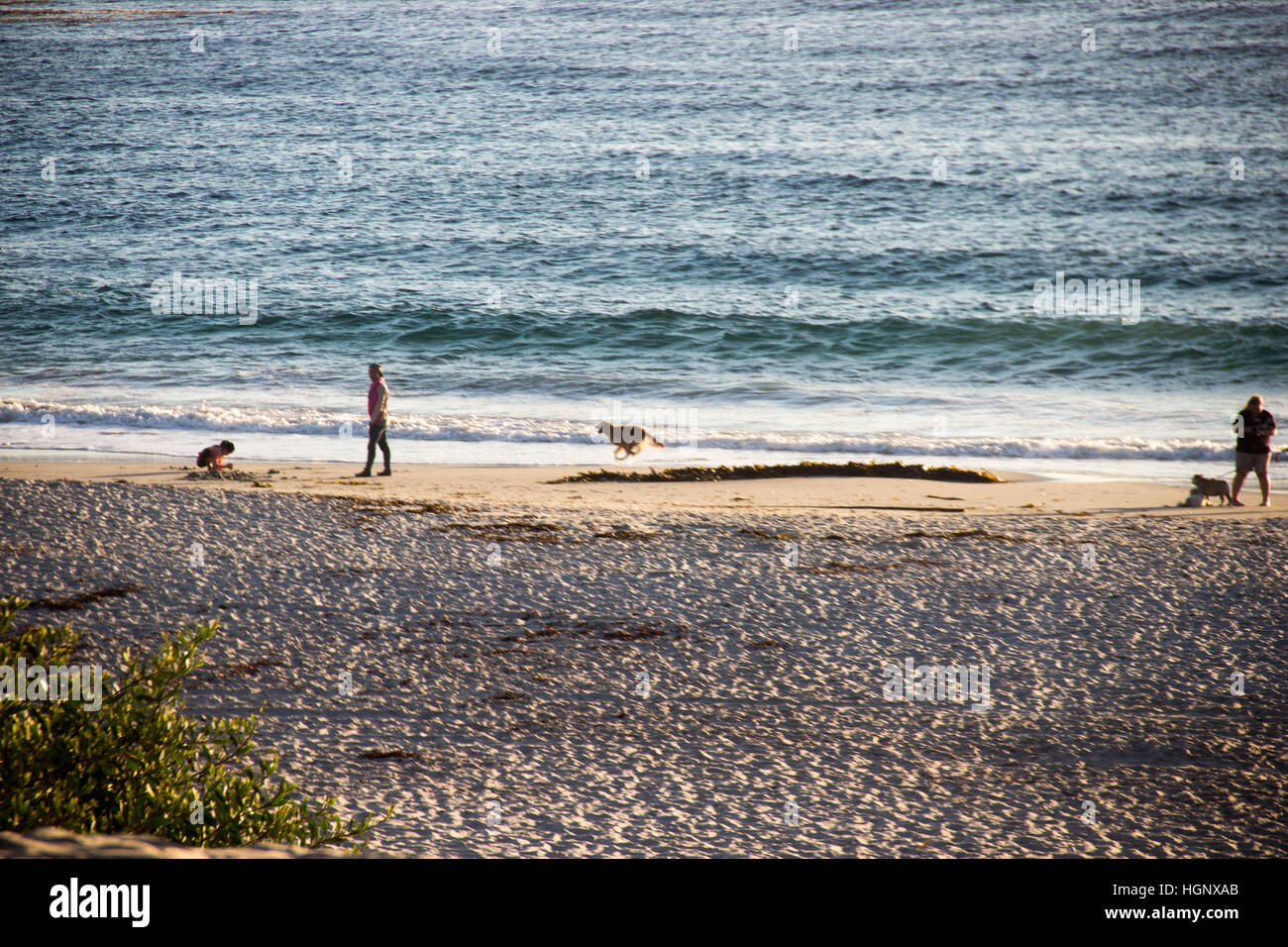 Friedlicher strand -Fotos und -Bildmaterial in hoher Auflösung – Alamy