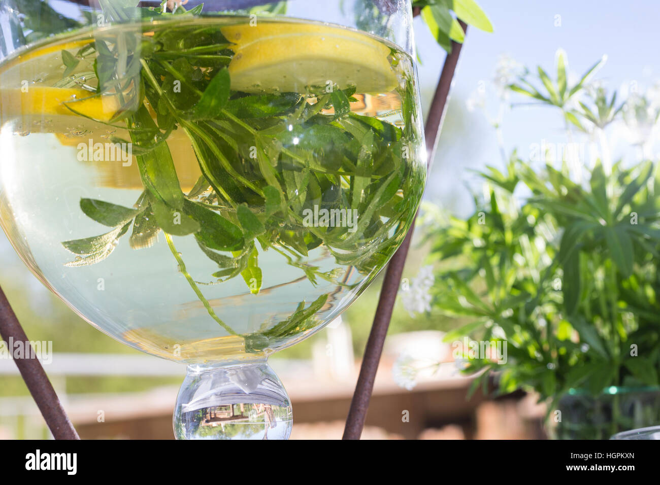 Waldmeister-Bowle, Waldmeisterbowle, Mai-Bowle, Maibowle, Maiwein ...