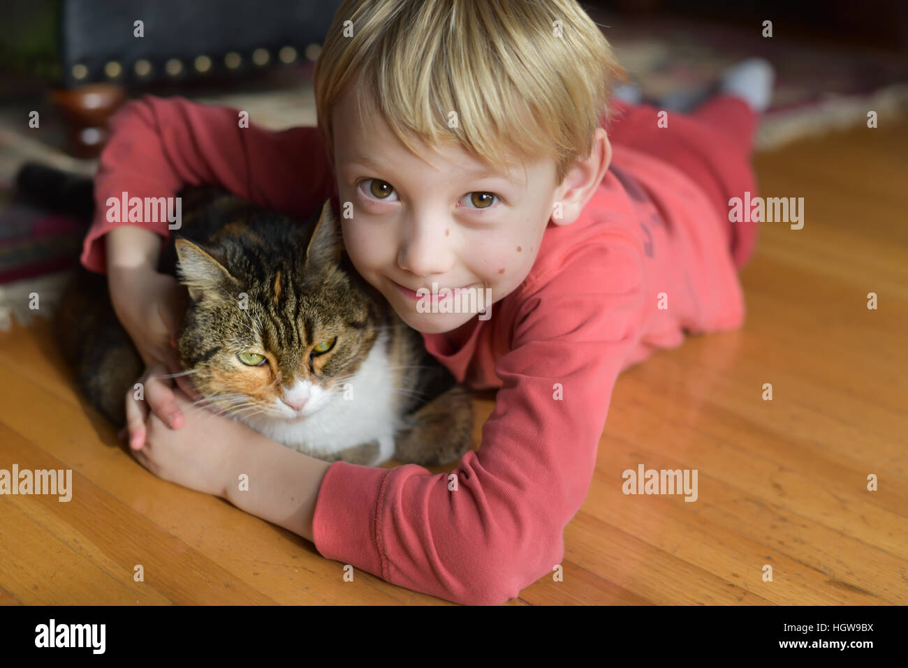 Junge mit katze -Fotos und -Bildmaterial in hoher Auflösung – Alamy