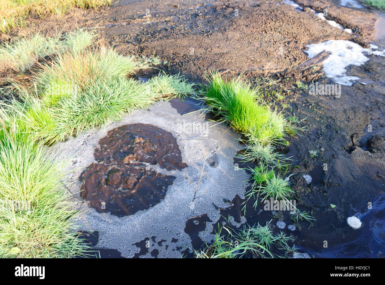 Moor im naturschutzgebiet soos mit mofetta egerland -Fotos und ...