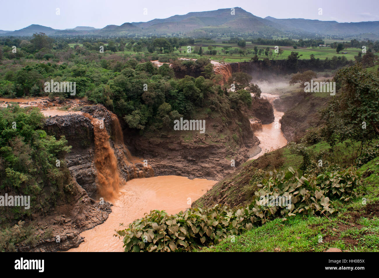 Tis Isat oder Blauer Nil Wasserfälle, Bahar Dar, Äthiopien, Afrika. Tis ...