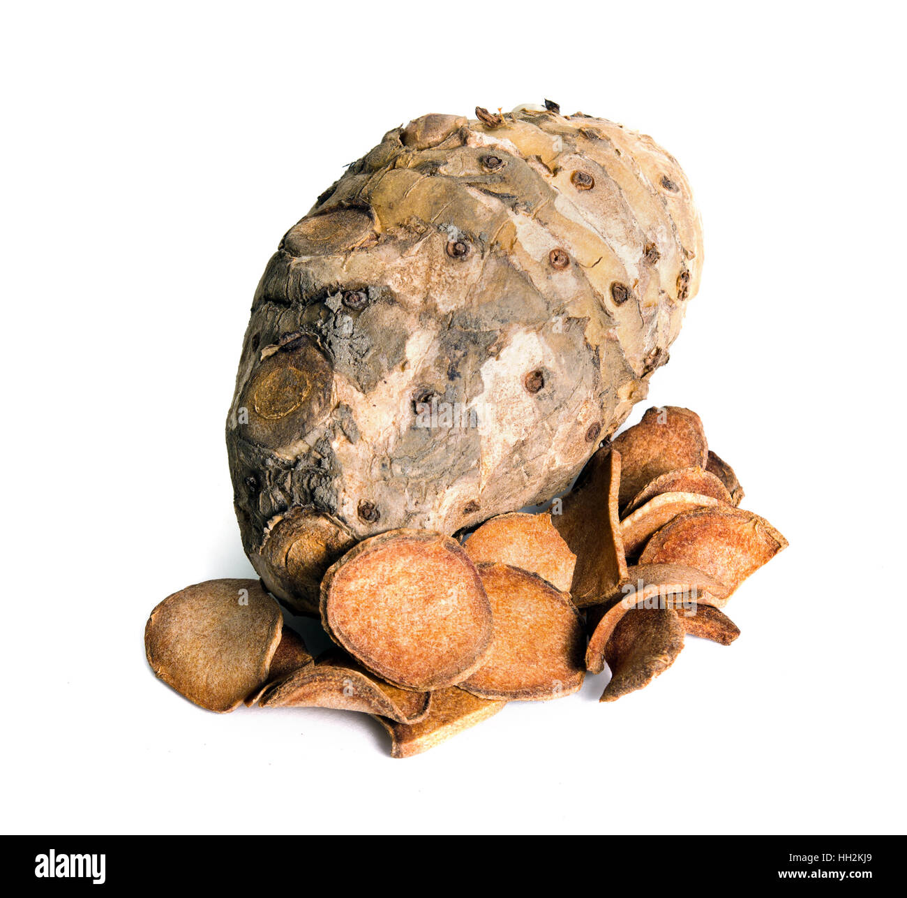 Curcuma comosa -Fotos und -Bildmaterial in hoher Auflösung – Alamy