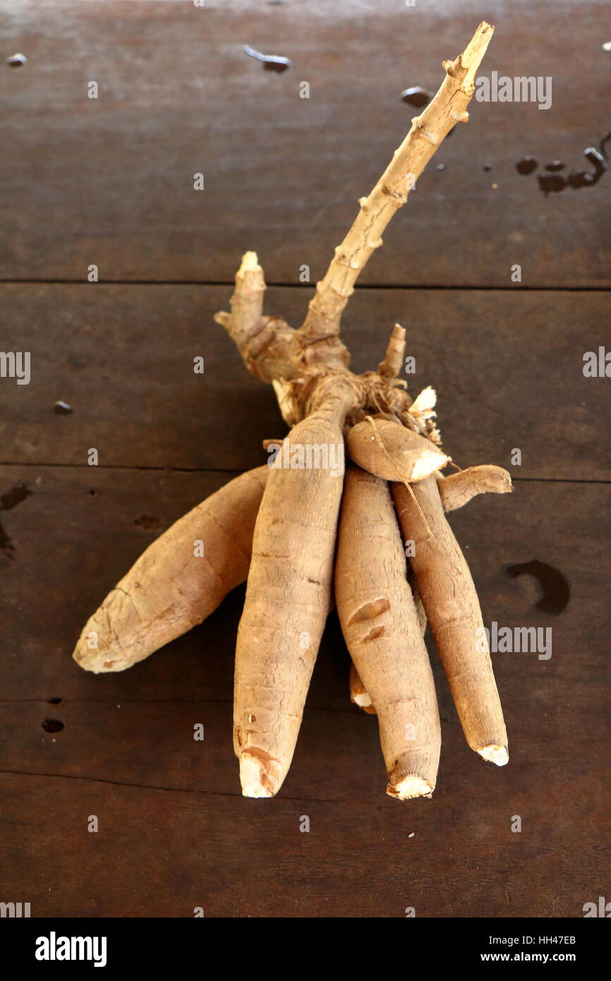 Manioc Root Stockfotos und -bilder Kaufen - Alamy
