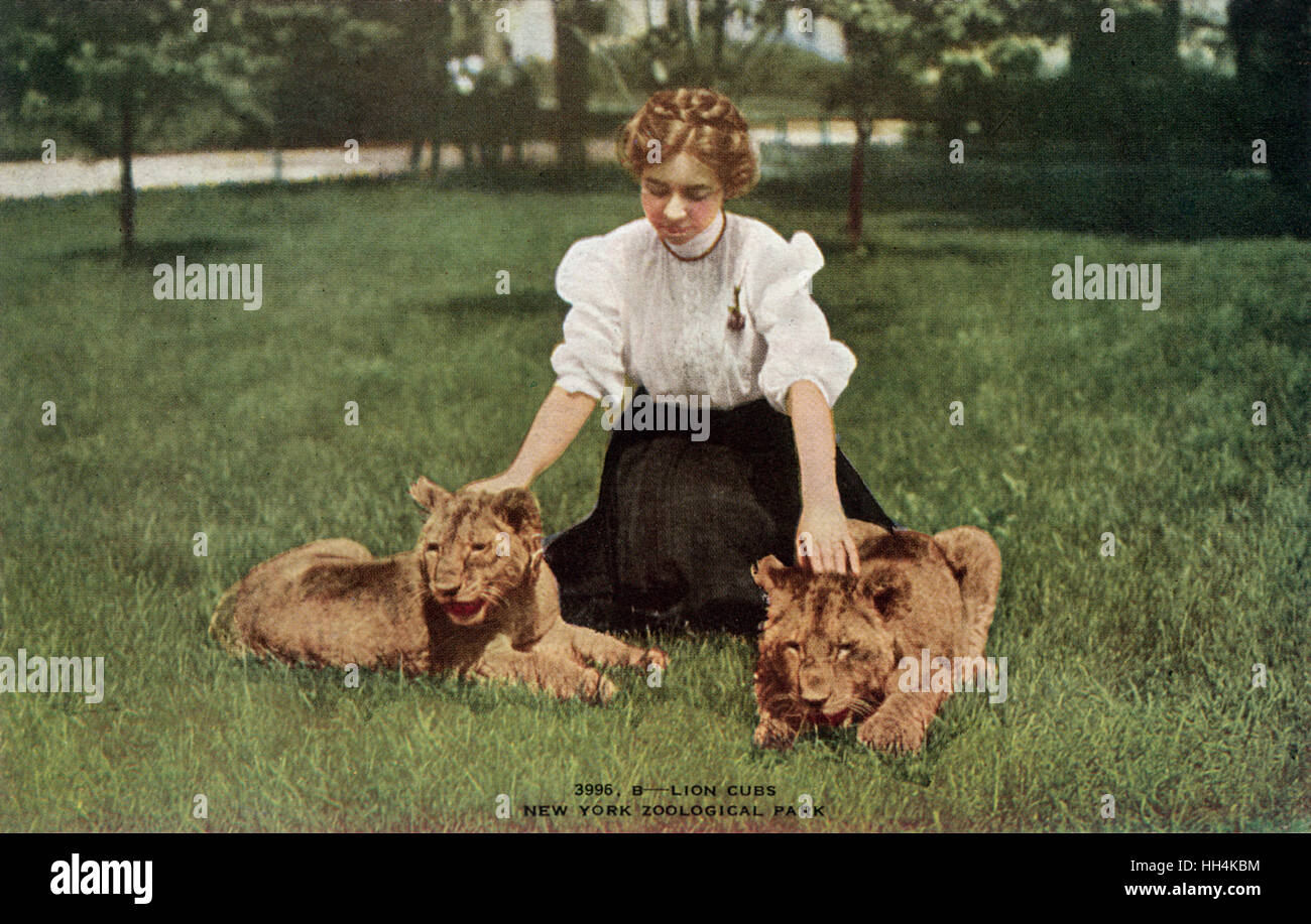 Zoologischer park new york -Fotos und -Bildmaterial in hoher Auflösung – Alamy