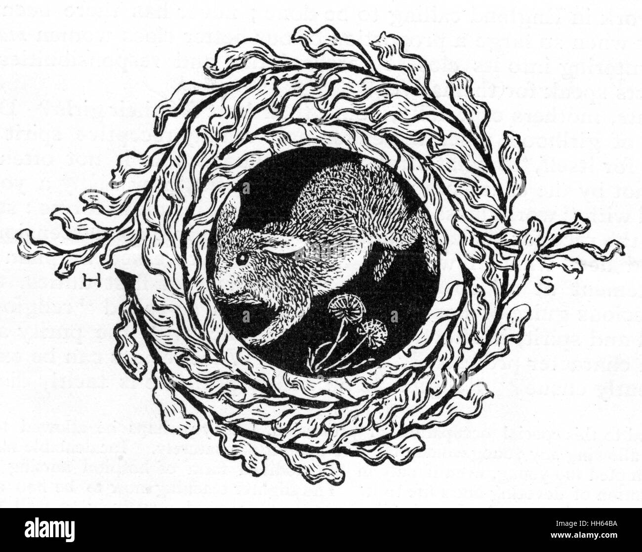 Illustrative oder dekorative verwendung -Fotos und -Bildmaterial in ...