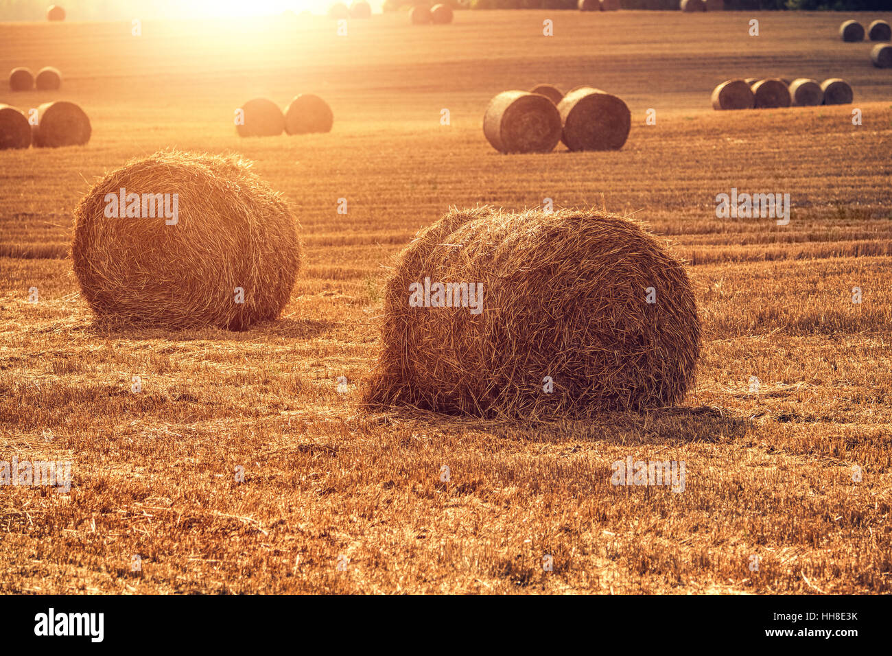 Heuhaufen auf einem feld -Fotos und -Bildmaterial in hoher Auflösung – Alamy