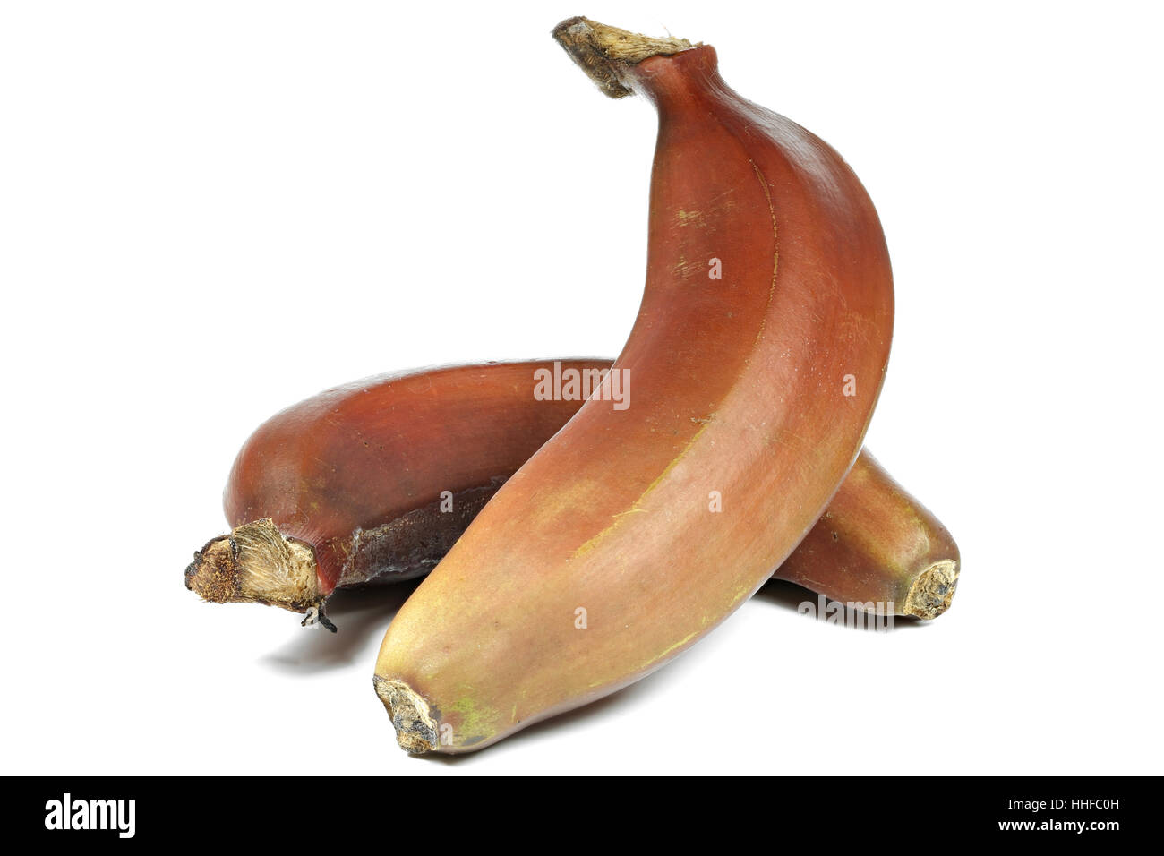 Rote bananenfrucht -Fotos und -Bildmaterial in hoher Auflösung – Alamy