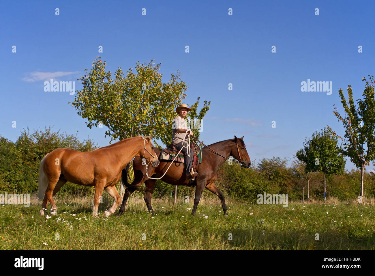 Pferd und mann -Fotos und -Bildmaterial in hoher Auflösung – Alamy