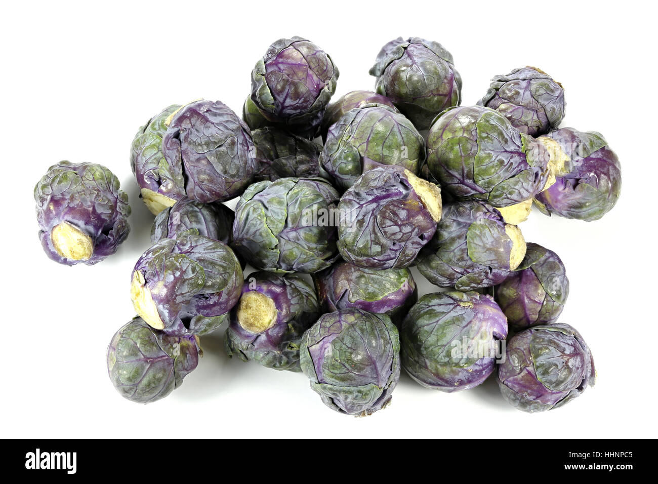 Lila rosenkohl -Fotos und -Bildmaterial in hoher Auflösung – Alamy