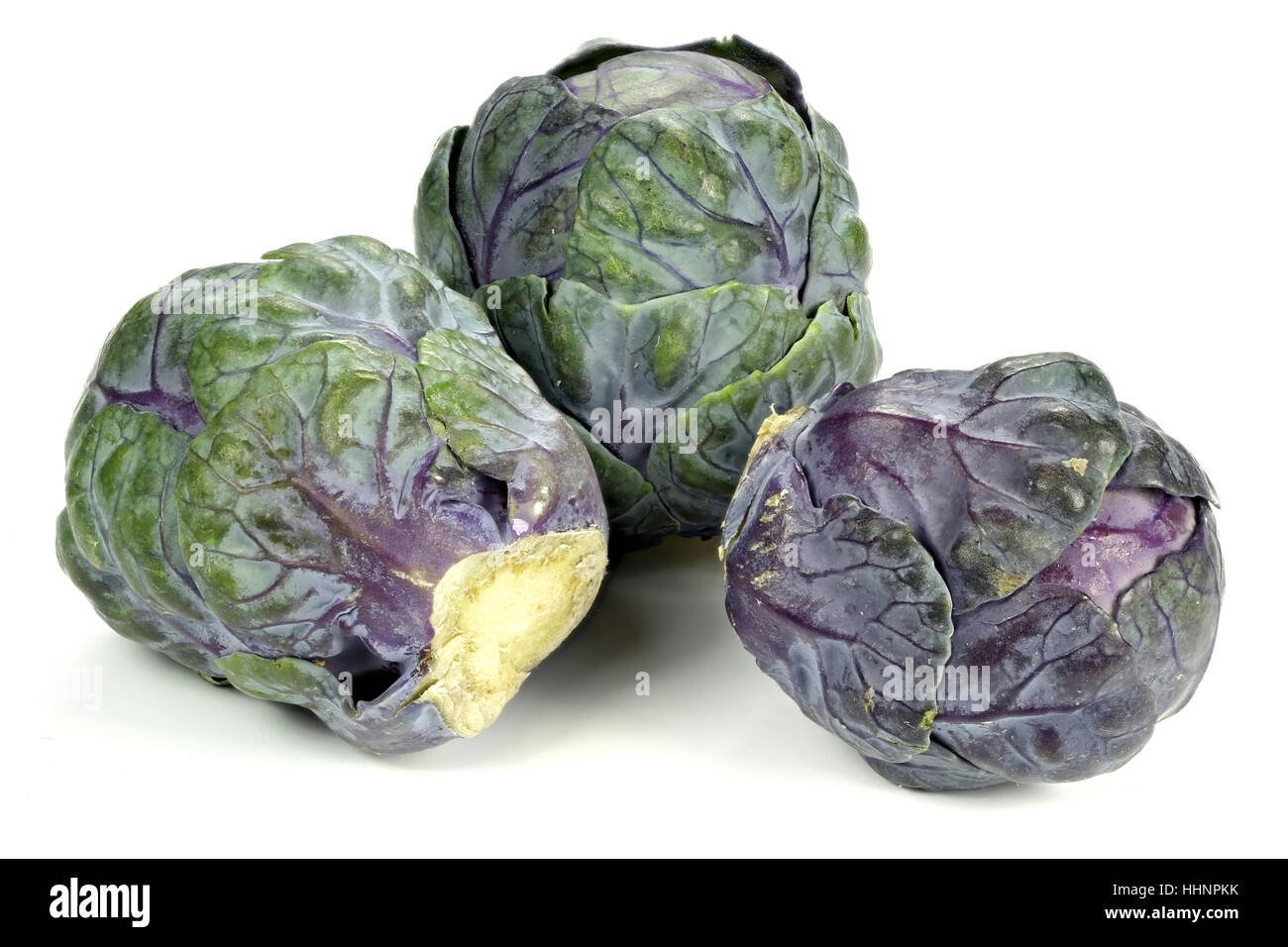 Lila rosenkohl -Fotos und -Bildmaterial in hoher Auflösung – Alamy