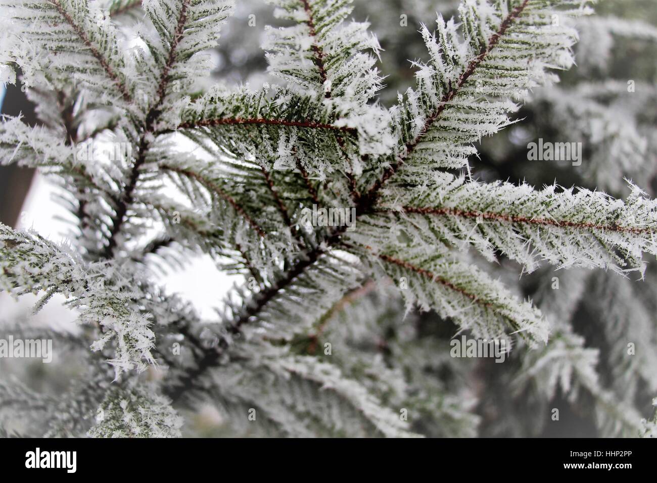 Lena-Säulen. Über den Fluss Lena ist was in der sibirischen Region hoch ...