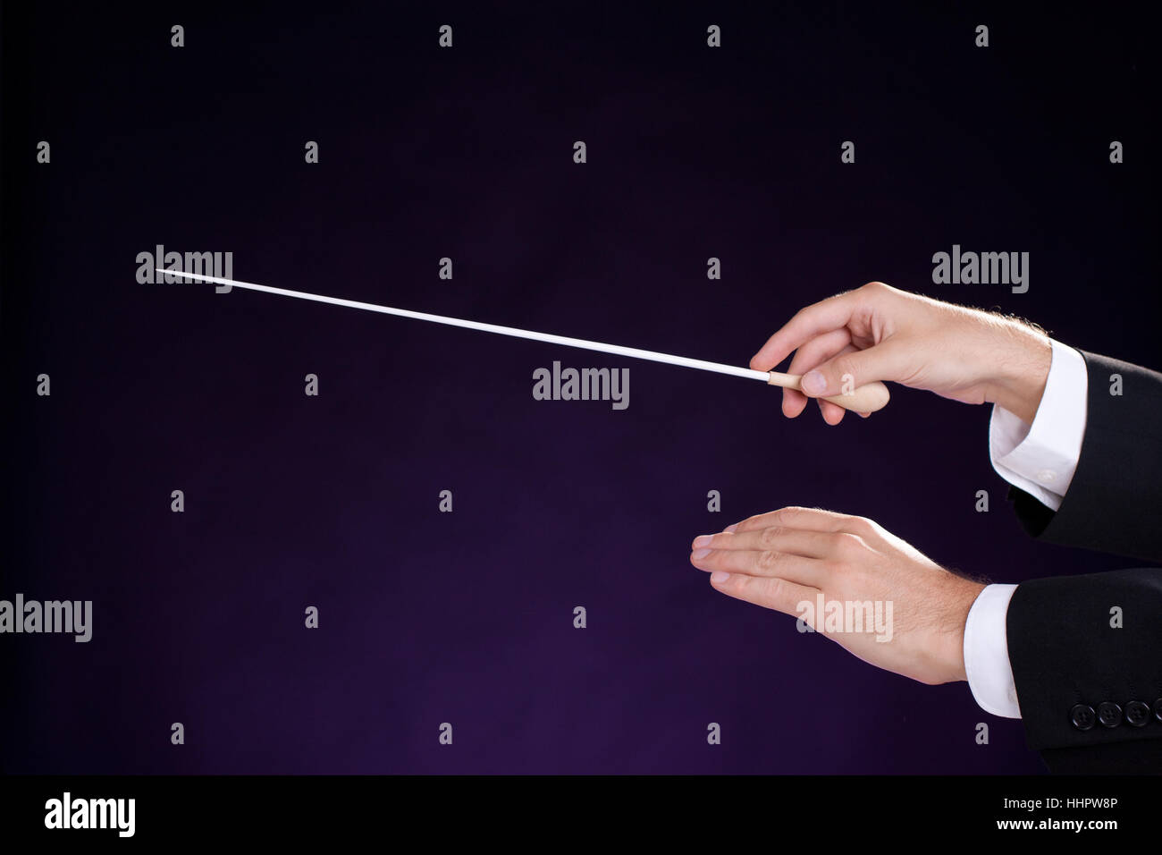 Männliche Orchester Dirigent Hände direkt mit Taktstock. Lila ...
