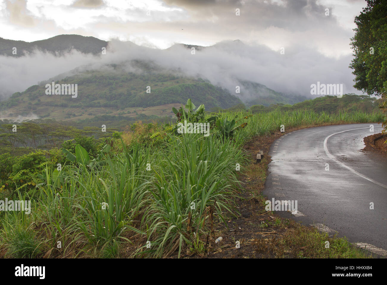 Baie du Cap, Chamarel Road, Mauritius Stockfotografie - Alamy