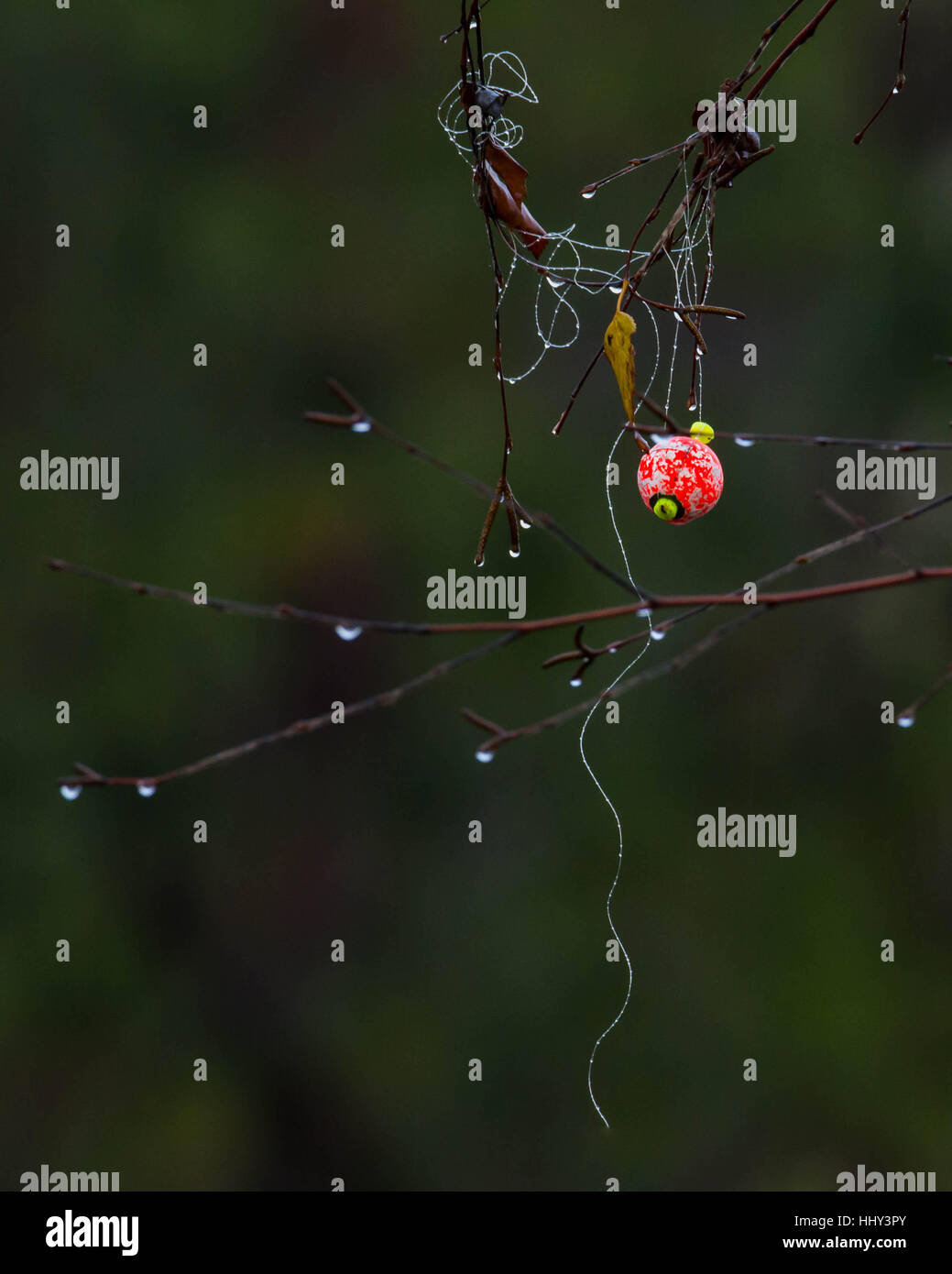 Regnerischer tag beim angeln -Fotos und -Bildmaterial in hoher ...