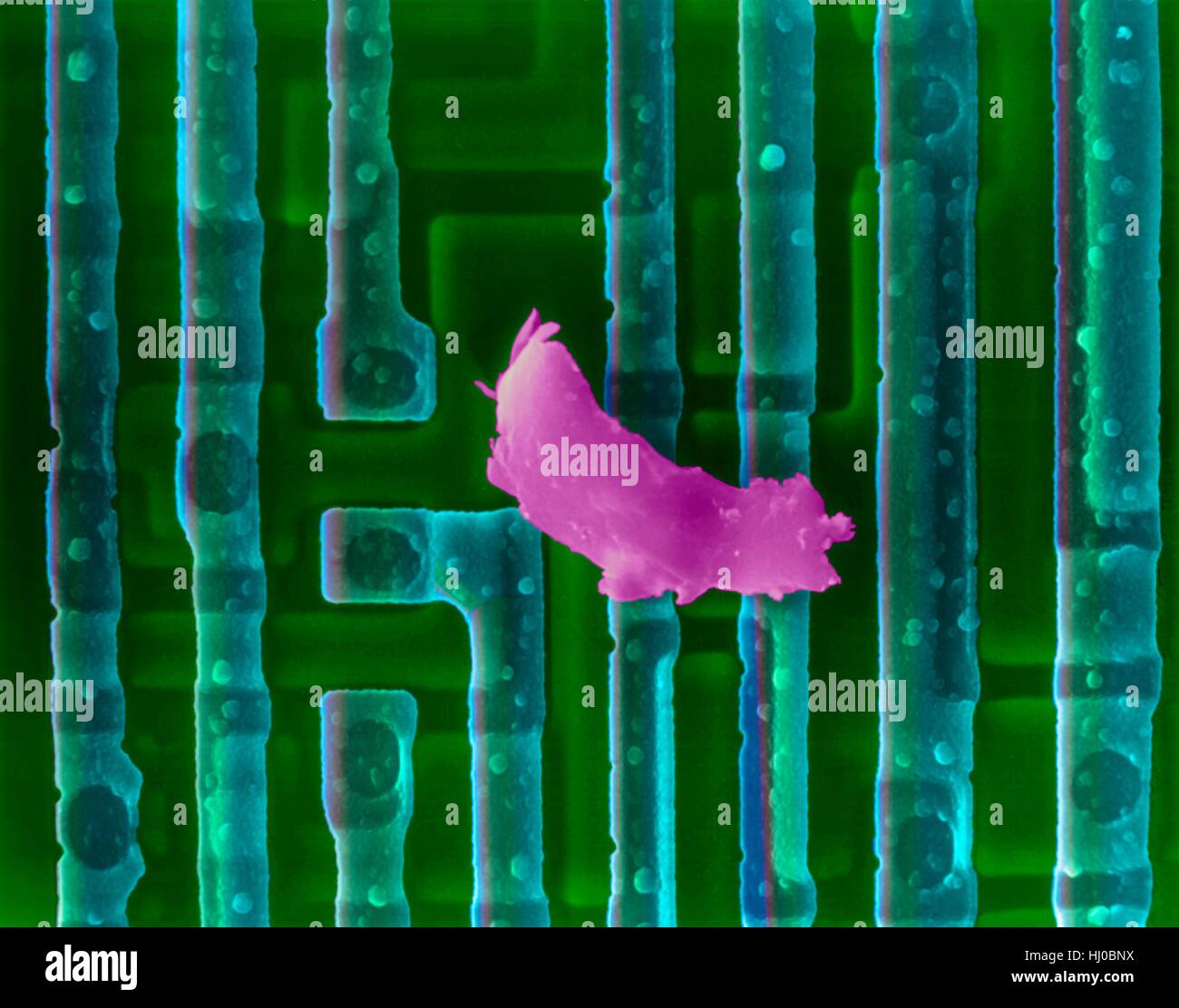 Silicon wafer chip -Fotos und -Bildmaterial in hoher Auflösung – Alamy