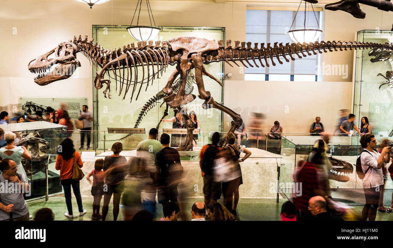 American Museum Of Natural History Stockfotos und -bilder Kaufen - Alamy