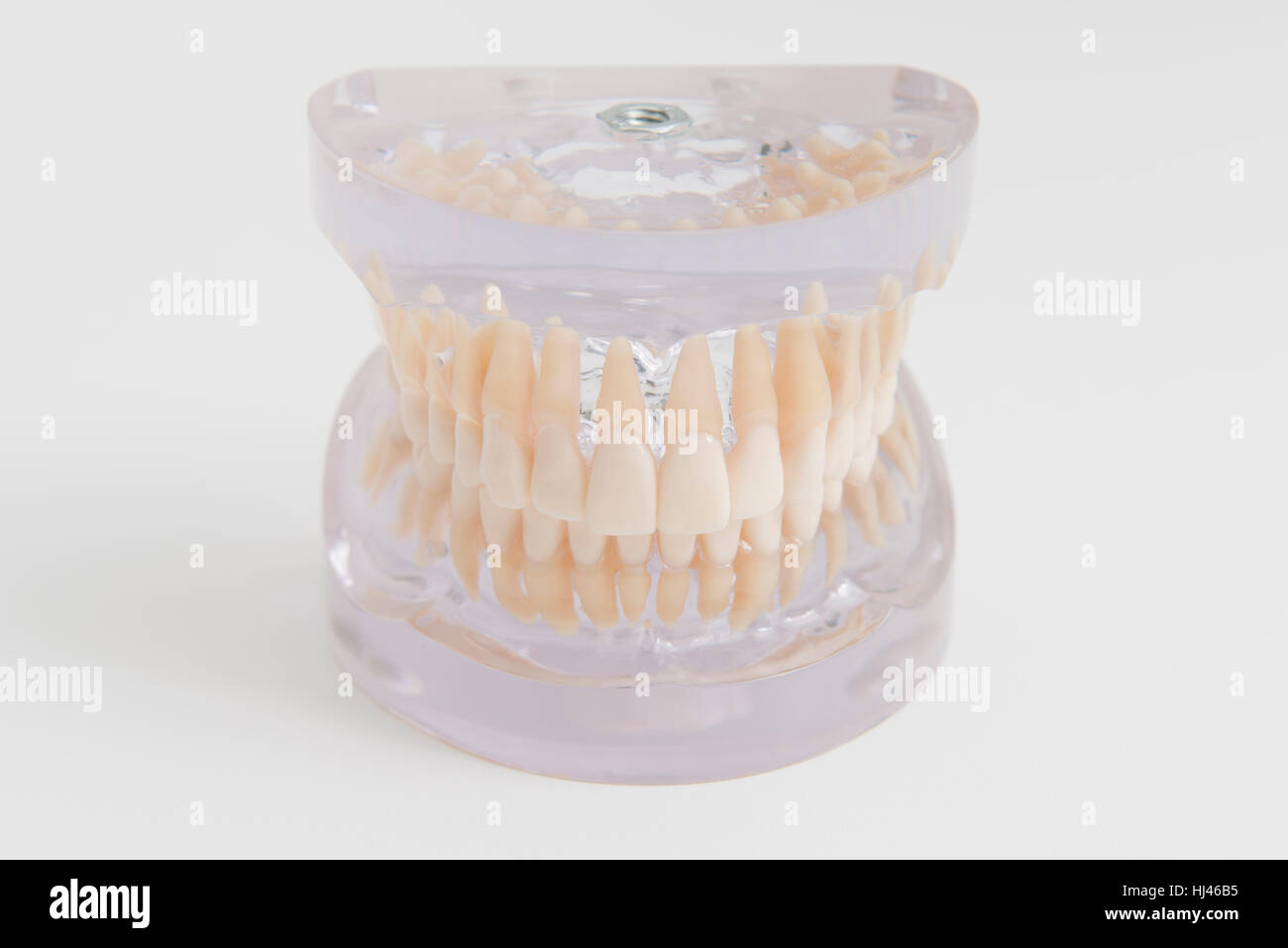 Chair Dentist Ordination Stockfotos und -bilder Kaufen - Alamy