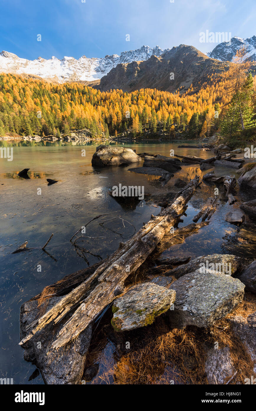 Autumn At The Lago Di Saoseo Stockfotos und -bilder Kaufen - Alamy