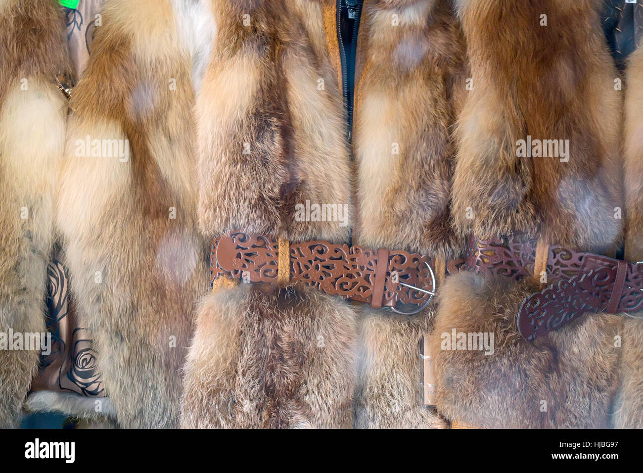 Arktische pelze -Fotos und -Bildmaterial in hoher Auflösung – Alamy