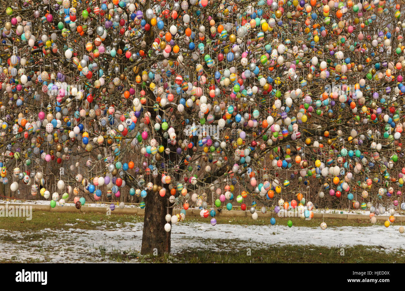 Saalfelder ostereierbaum -Fotos und -Bildmaterial in hoher Auflösung ...