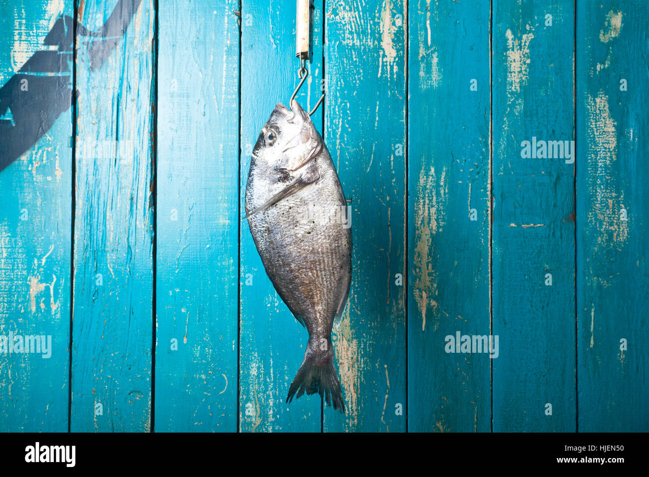 Einen fisch einhaken -Fotos und -Bildmaterial in hoher Auflösung – Alamy