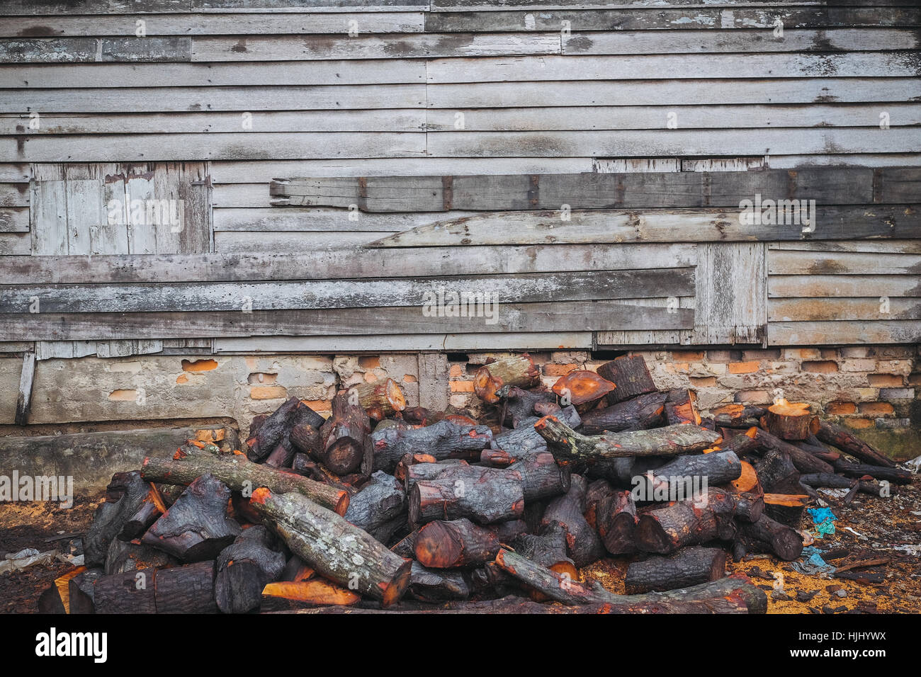 Mangrove pile -Fotos und -Bildmaterial in hoher Auflösung – Alamy