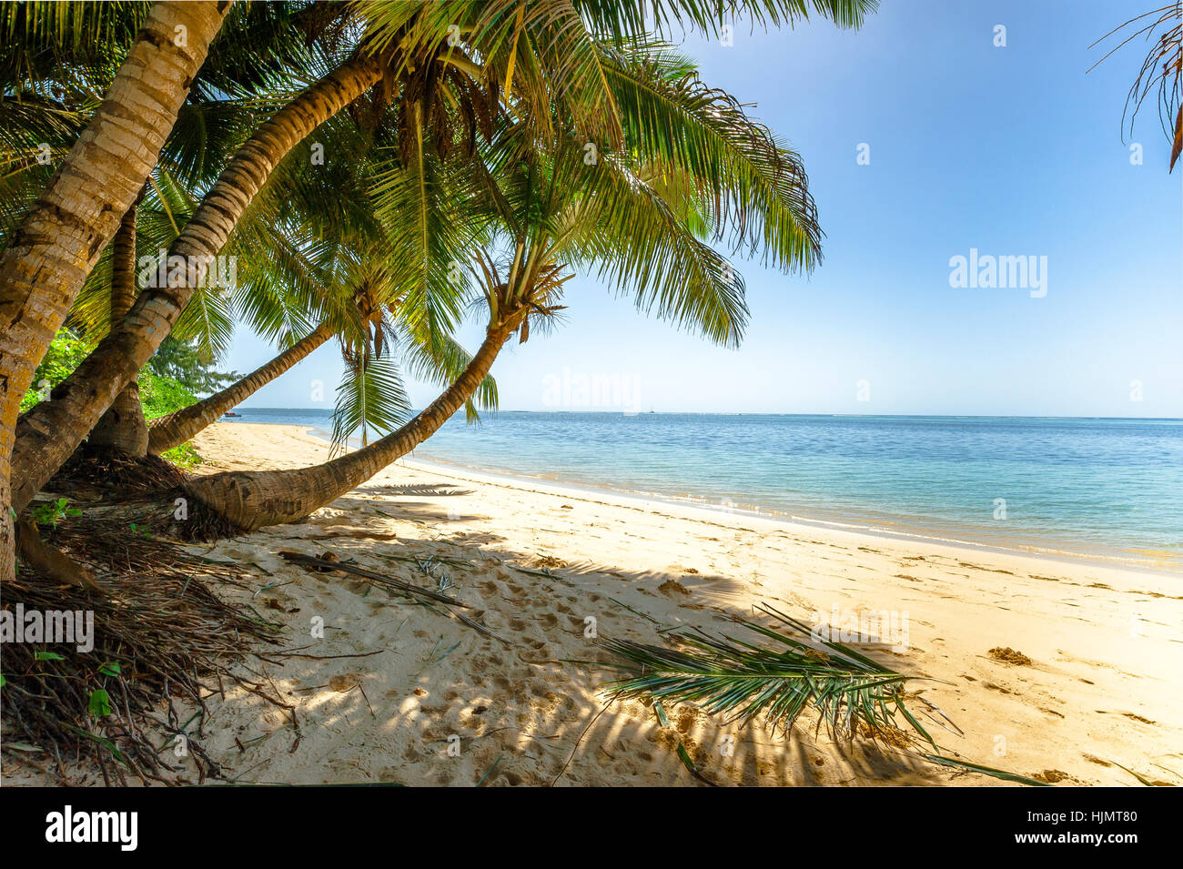 Strand der Seychellen-Insel Mahé, Strand Anse Aux Pins Stockfotografie ...