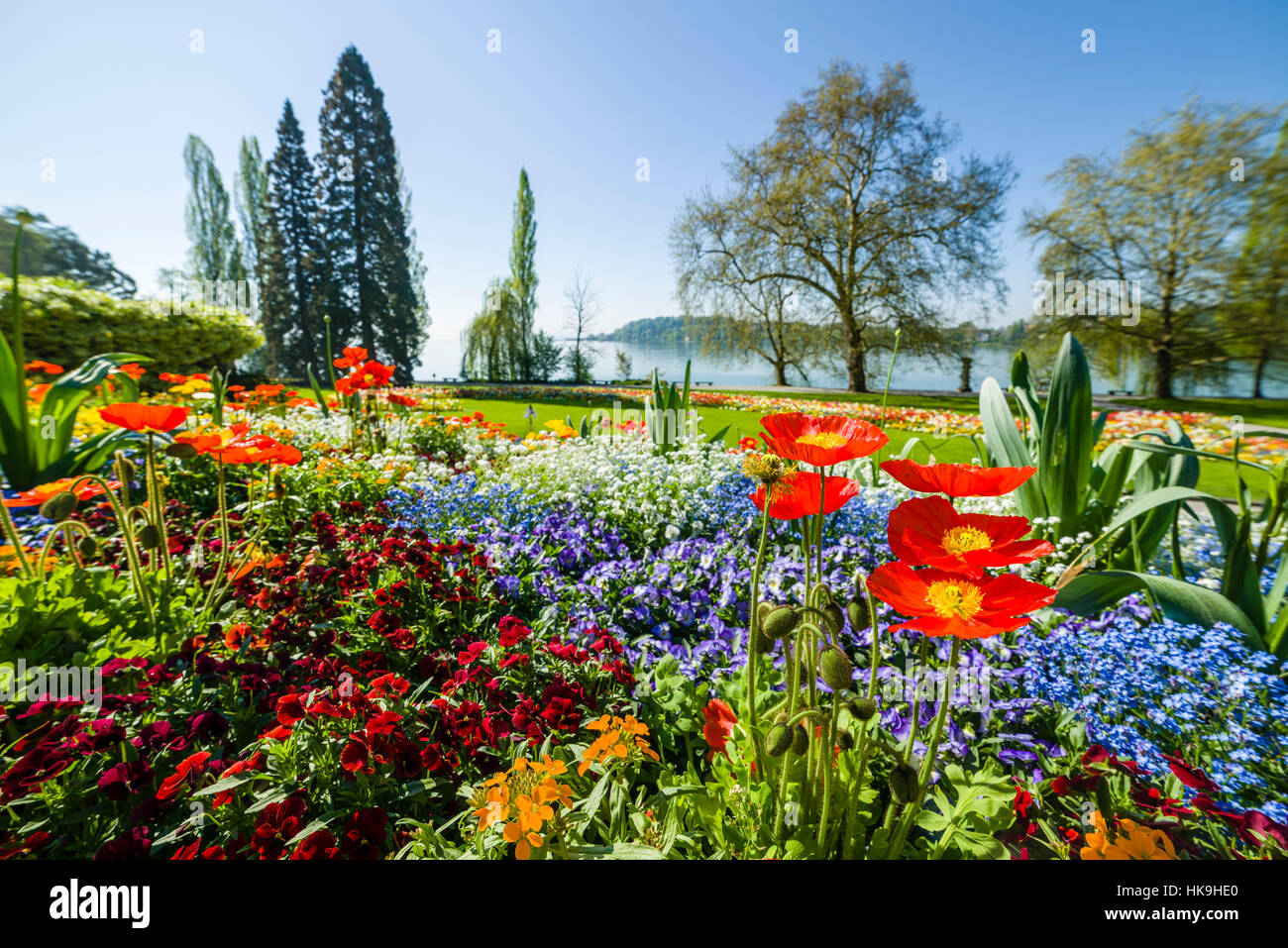 Mainau island -Fotos und -Bildmaterial in hoher Auflösung – Alamy