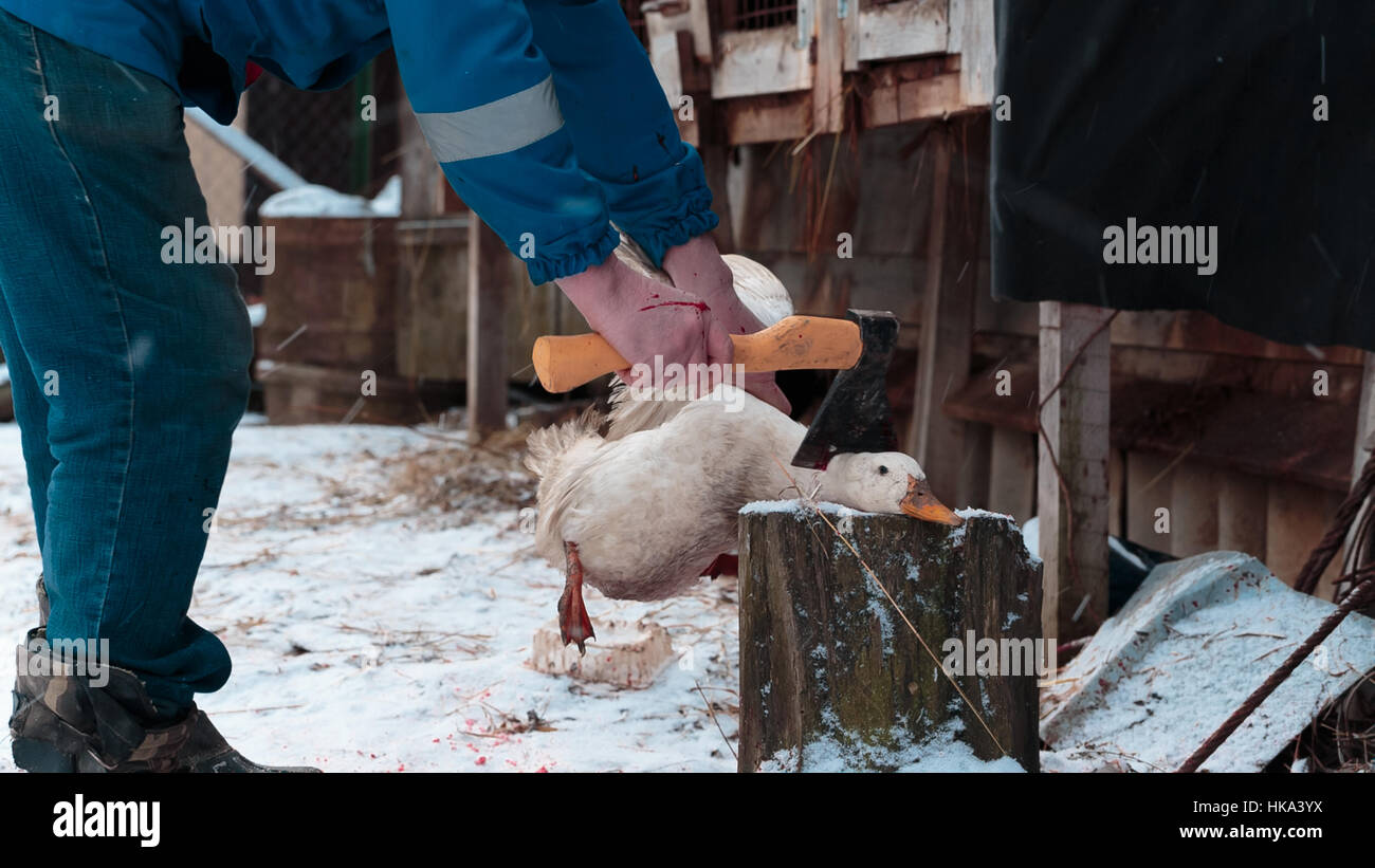 Kopf abgehackt -Fotos und -Bildmaterial in hoher Auflösung – Alamy