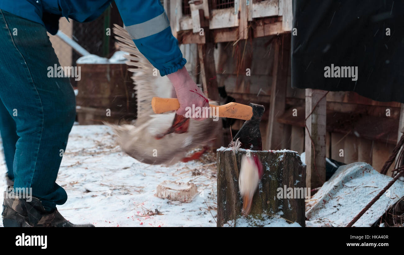 Kopf abgehackt -Fotos und -Bildmaterial in hoher Auflösung – Alamy