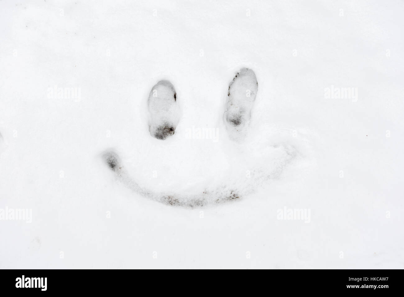 Smiley weinen lachen -Fotos und -Bildmaterial in hoher Auflösung – Alamy