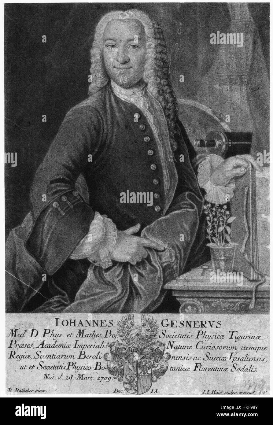 Johannes gessner -Fotos und -Bildmaterial in hoher Auflösung – Alamy