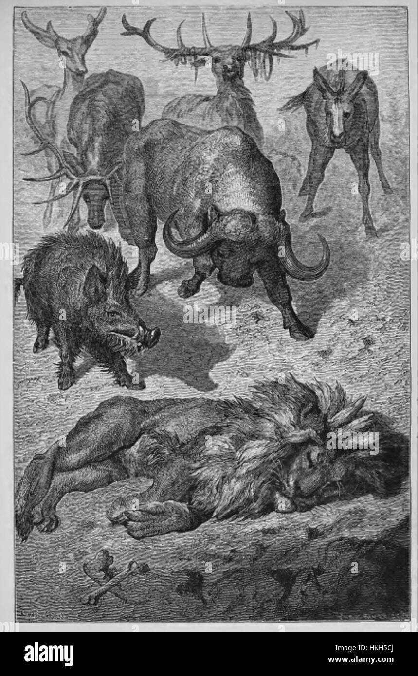 â€˜Leo Senexâ€™ von Jean-Baptiste Griset ist ein historisches Kunstwerk ...