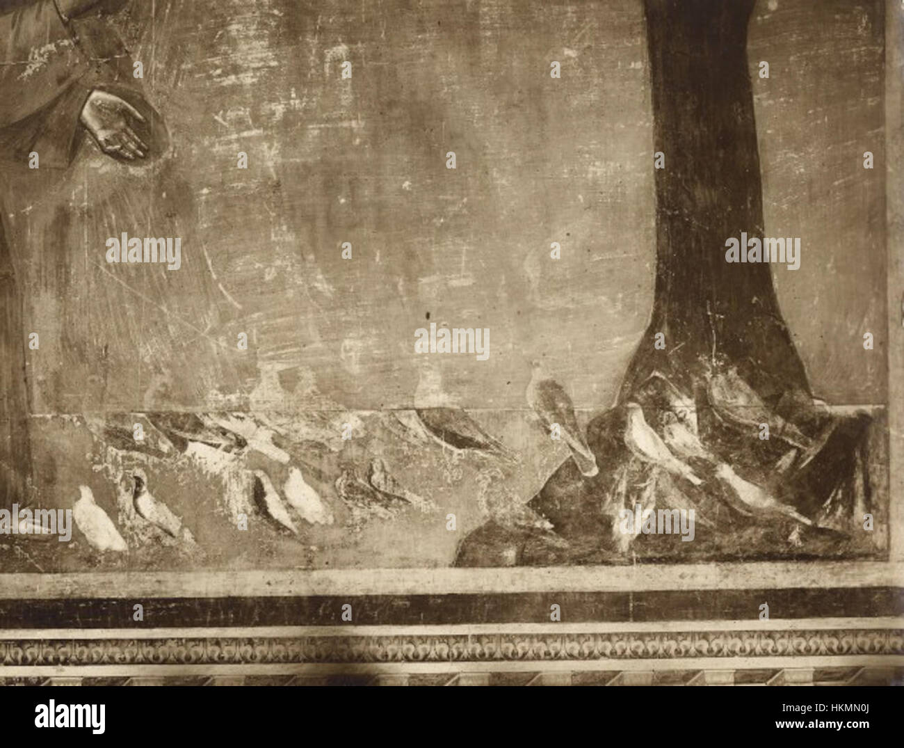 Predica agli Uccelli (Predigt an die Vögel) ist ein Fresko von Giotto, auf dem der hl ...