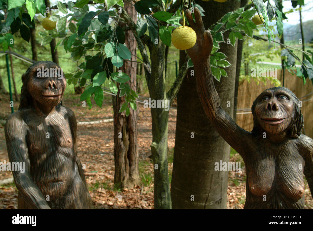 Der affenmensch -Fotos und -Bildmaterial in hoher Auflösung – Alamy