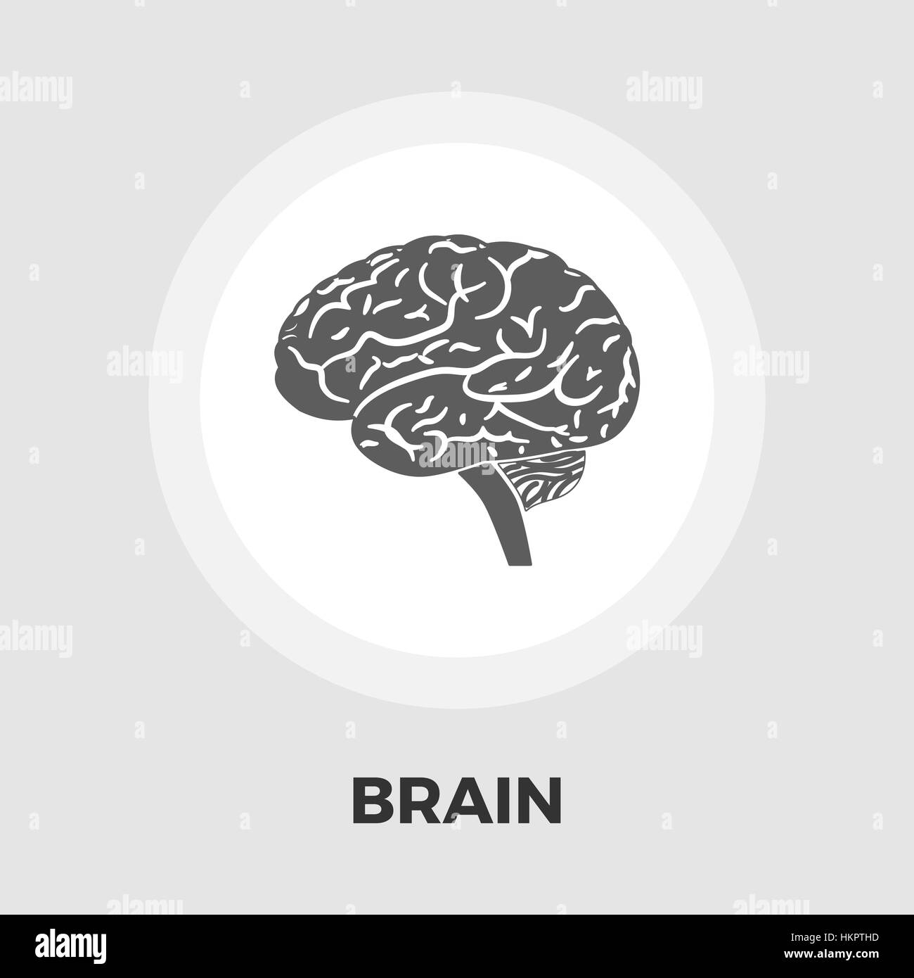 Menschliche Gehirn Symbol Vektor. Flach-Symbol auf dem weißen ...