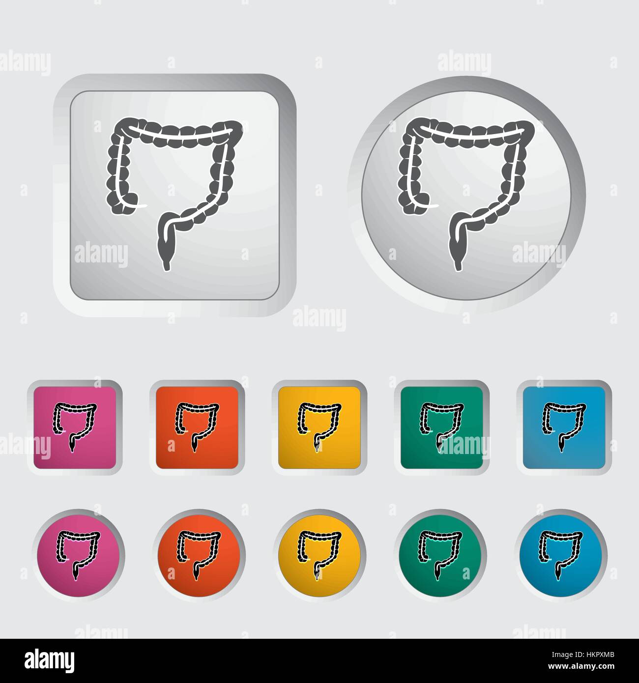 Darm-Symbol. Vektor-Illustration EPS Stock-Vektorgrafik - Alamy
