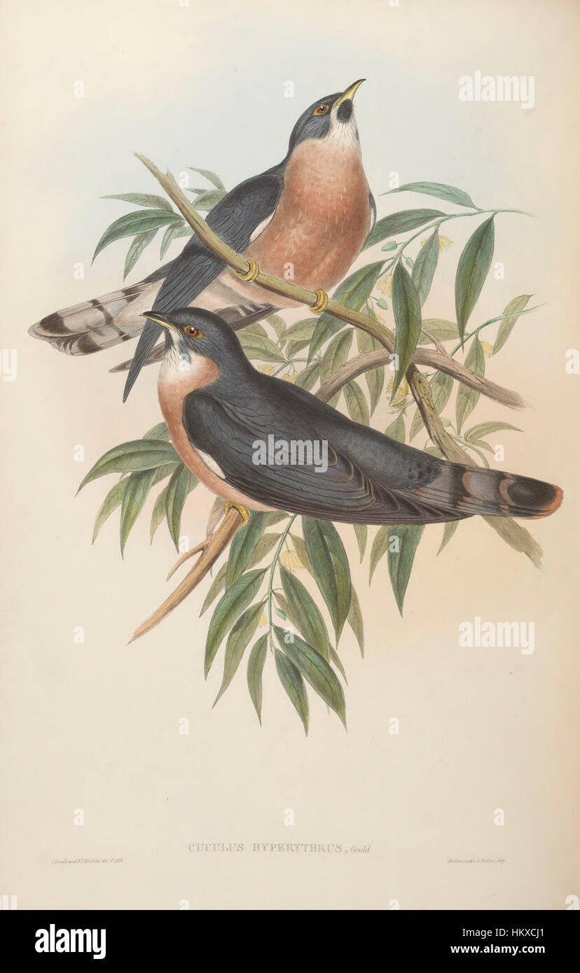 Lebendige darstellung der vielfalt der natur -Fotos und -Bildmaterial in hoher Auflösung – Alamy