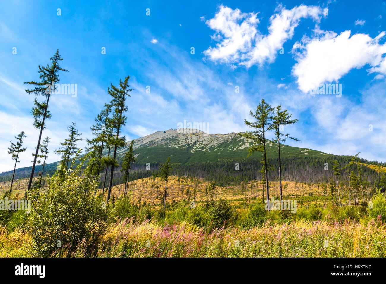 Poprad mountains -Fotos und -Bildmaterial in hoher Auflösung – Alamy
