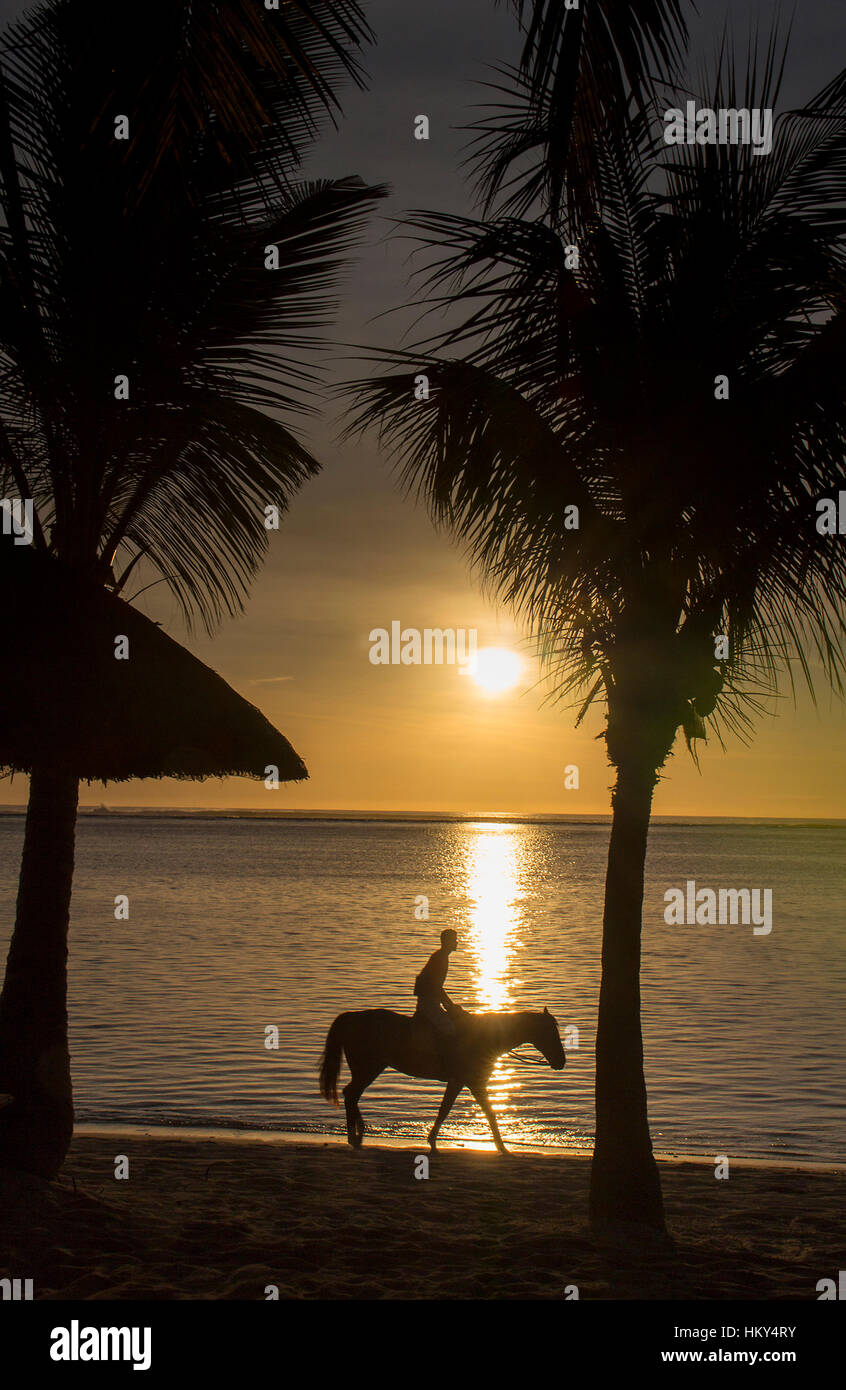 Silhouette reiter strand sonnenuntergang -Fotos und -Bildmaterial in hoher Auflösung – Alamy