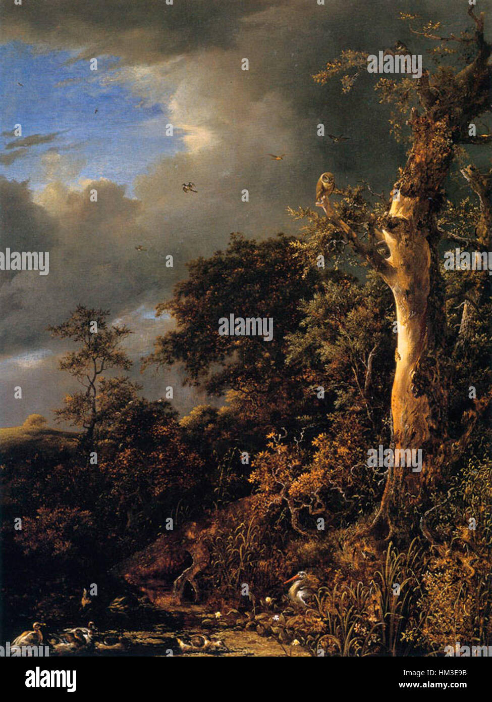 Gestrahlte eiche -Fotos und -Bildmaterial in hoher Auflösung – Alamy