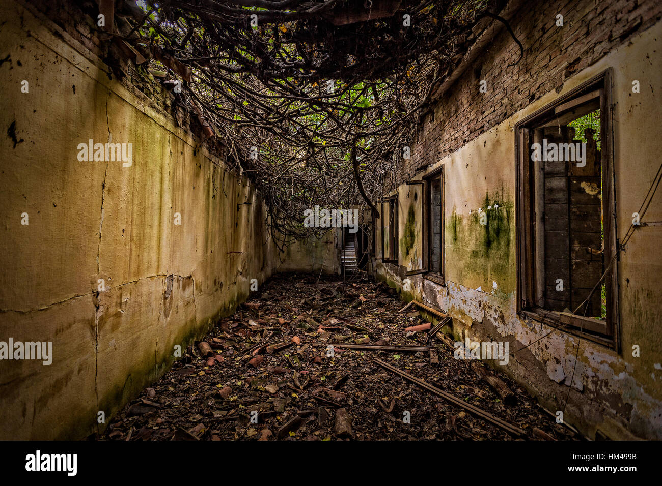 Italien Venetien Venedig Poveglia die einsame Insel Stockfotografie - Alamy