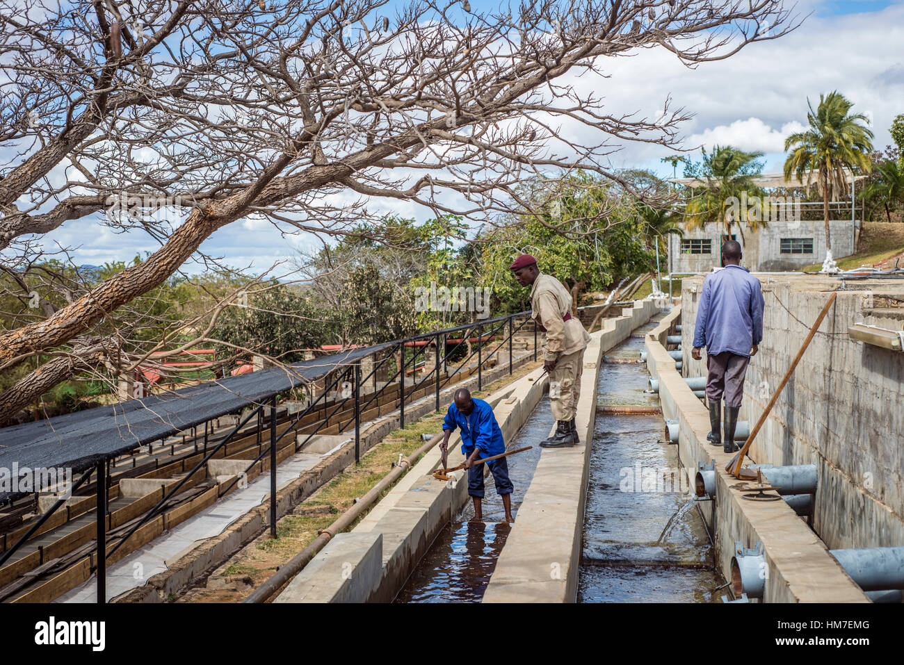 Coffee factory africa -Fotos und -Bildmaterial in hoher Auflösung ...